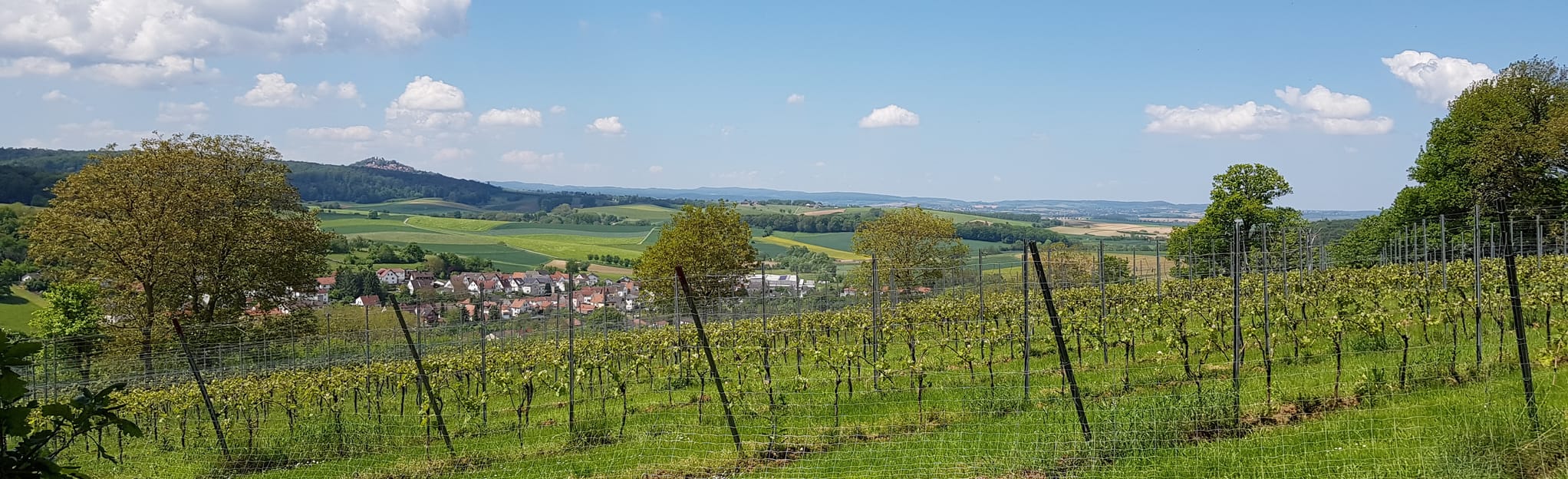 Groß-Umstadt Loop (GU 1): 8 Reviews, Map - Hesse, Germany | AllTrails