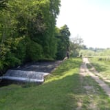 Erddig Park Circular, Wrexham, Wales - 157 Reviews, Map | AllTrails