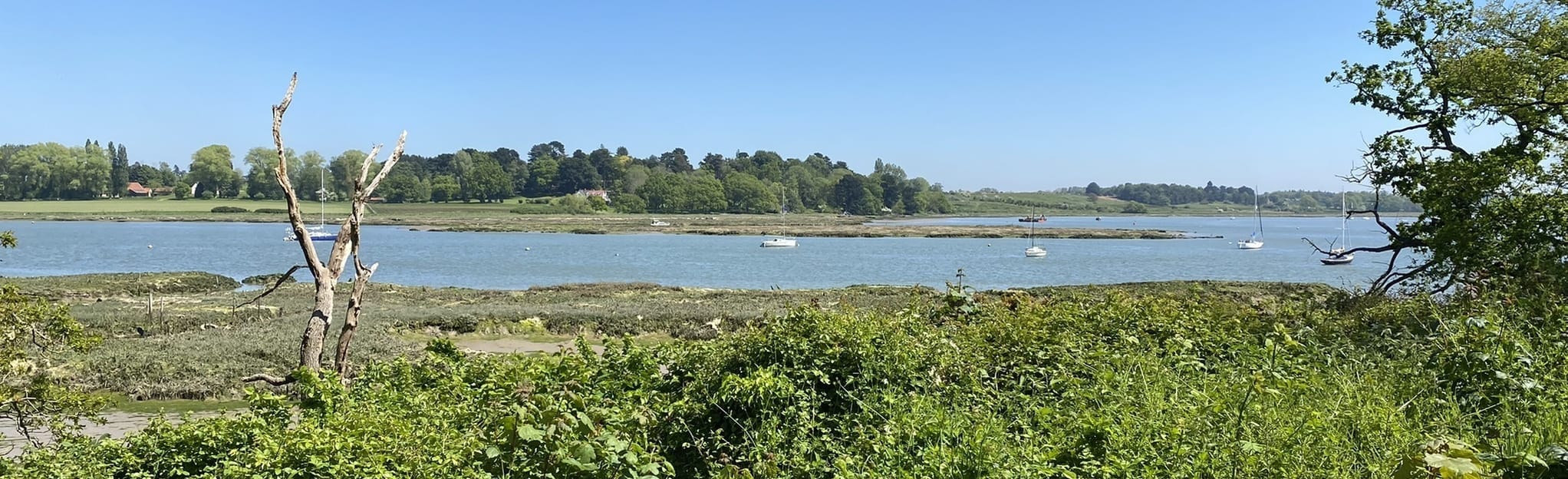 Fynn Valley Walk: Westerfield to Woodbridge: 19 Reviews, Map - Suffolk ...