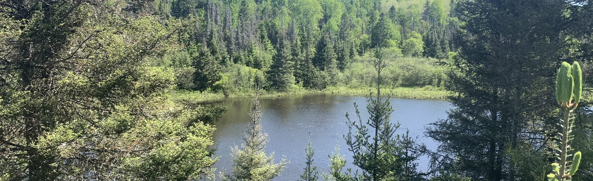 Orange Flag Trail to Highland Loop | Map, Guide - Ontario, Canada ...