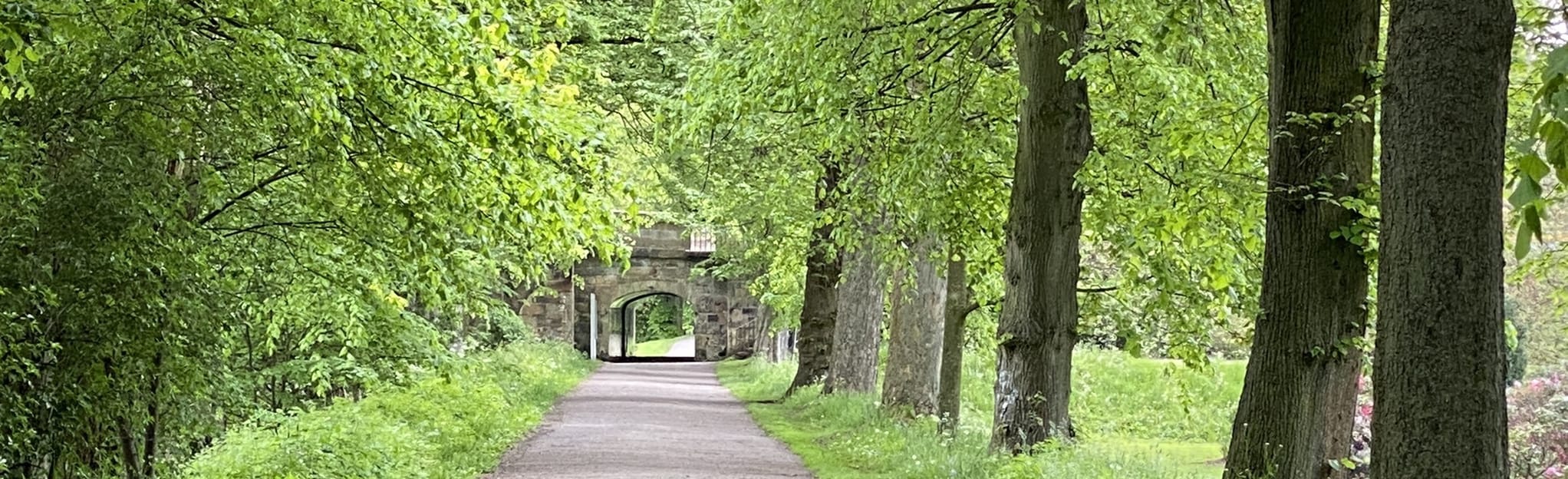 Bitts Park Circular, Cumbria, England - 53 Reviews, Map | AllTrails