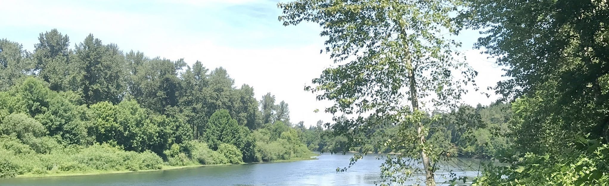 Simpson Park Trail: 73 Reviews, Map - Oregon | AllTrails