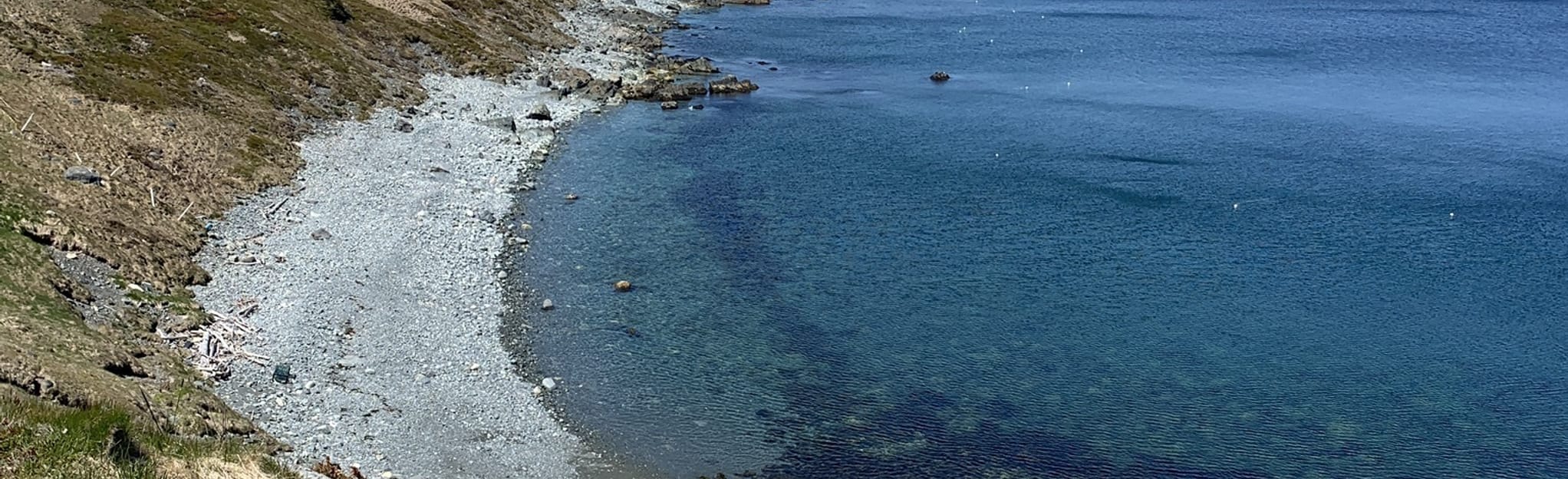 AllTrails | Ferryland Lighthouse Trail: 89 Reviews, Map - Newfoundland ...