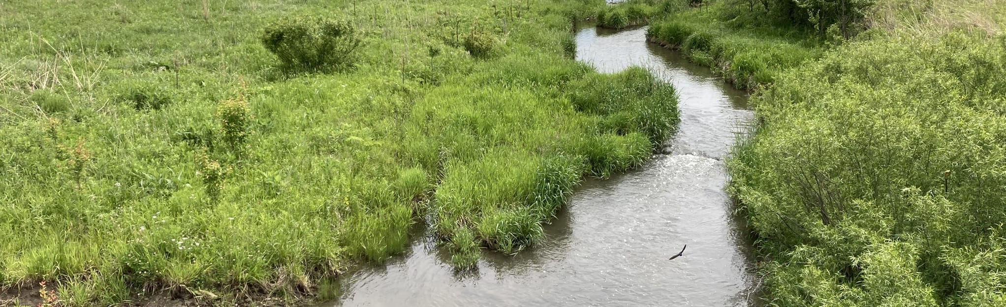 Spring Creek Greenway Loop | Map, Guide - Illinois#N# | AllTrails