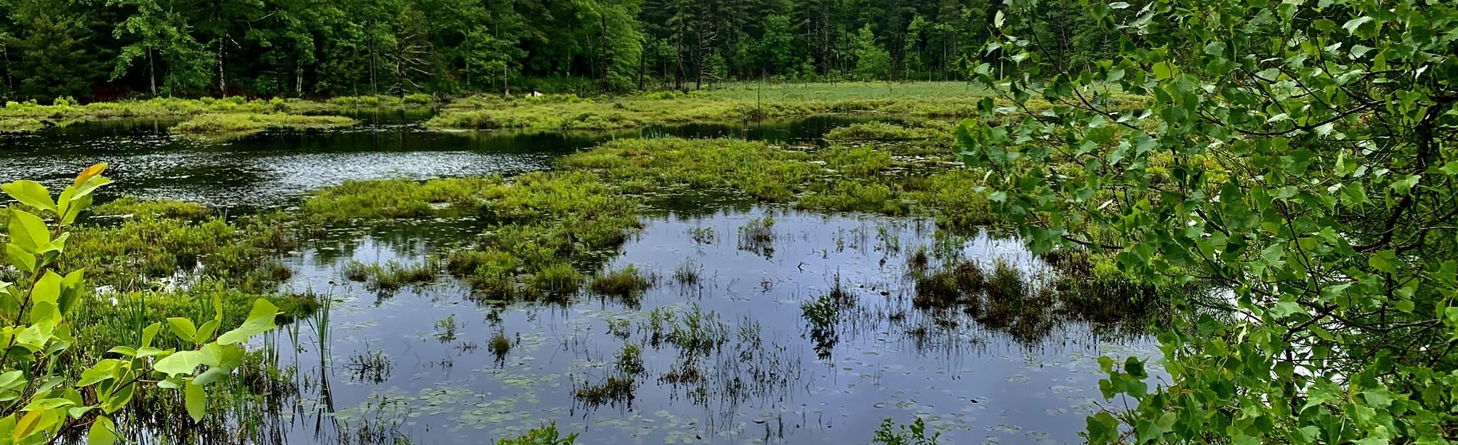 Southern New England Trunkline Trail, Massachusetts - 363 Reviews, Map ...