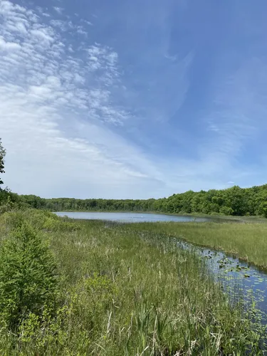10 Best Backpacking Trails in Michigan | AllTrails