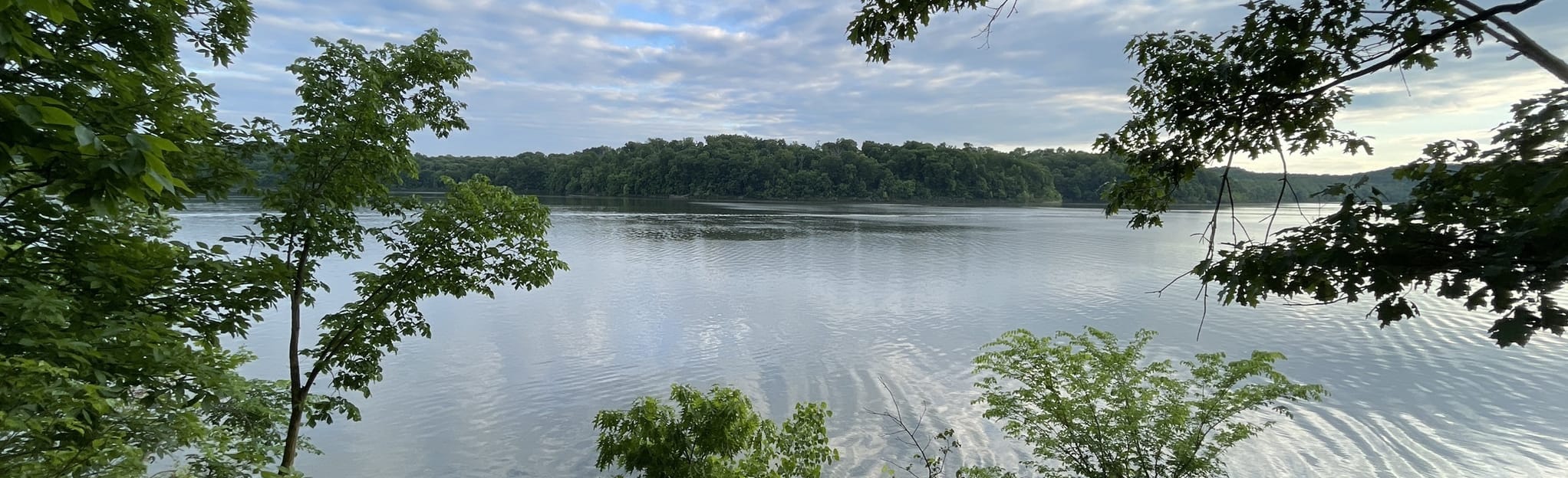 Blackberry Ridge and Eagle Ridge Loop, Ohio - 164 Reviews, Map | AllTrails