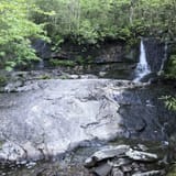 Fork Ridge Trail to Tennent Mountain, North Carolina - 42 Reviews, Map ...