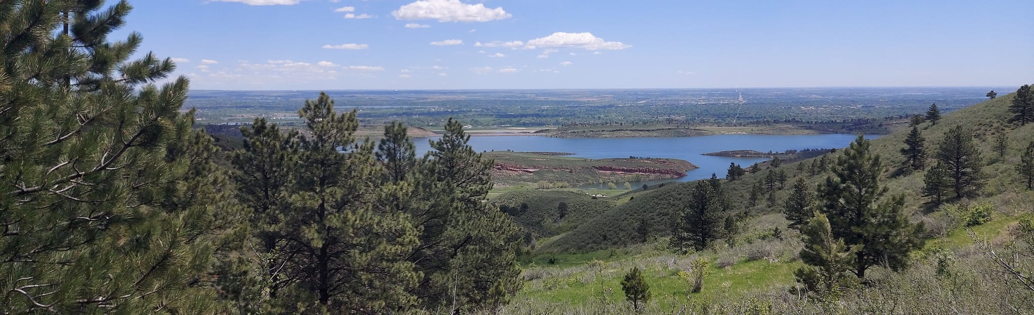 Westridge Trail Via Timber Trail: 612 foto - Colorado | AllTrails