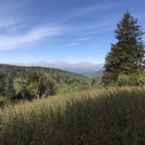 Fork Ridge Trail to Tennent Mountain, North Carolina - 42 Reviews, Map ...