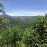 Fork Ridge Trail to Tennent Mountain, North Carolina - 42 Reviews, Map ...