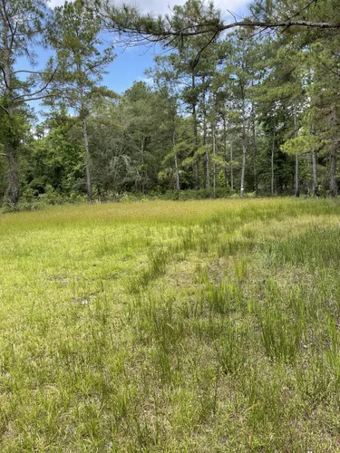 Best Hikes and Trails in Caravelle Ranch Wildlife Management Area ...