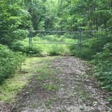 Monon High Bridge Trail, Indiana - 53 Reviews, Map | AllTrails