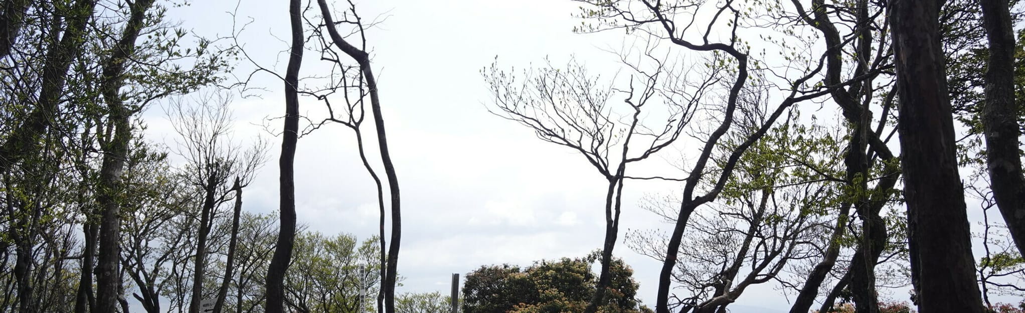 Mount Eboshi - Eboshidake Rinkan Hiroba: 0 Reviews, Map - Gifu, Japan ...