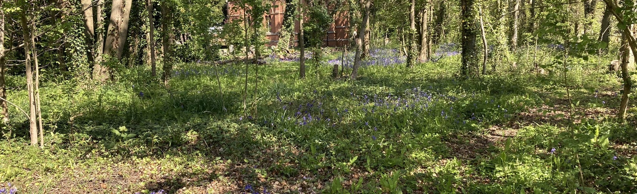 Coombe Hill Nature Reserve Circular - Gloucestershire, England | AllTrails