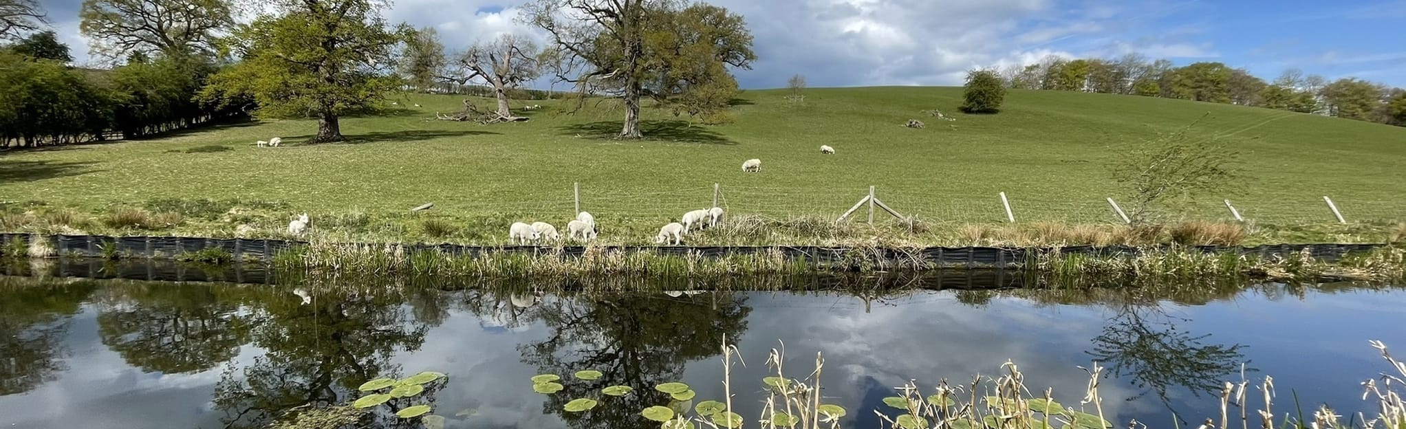 Welshpool, Powis Castle, and the Montgomery Canal Circular, Powys ...