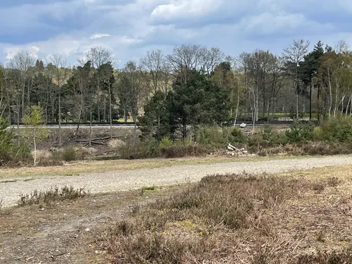 10 Best Walking Trails in Chobham Common | AllTrails