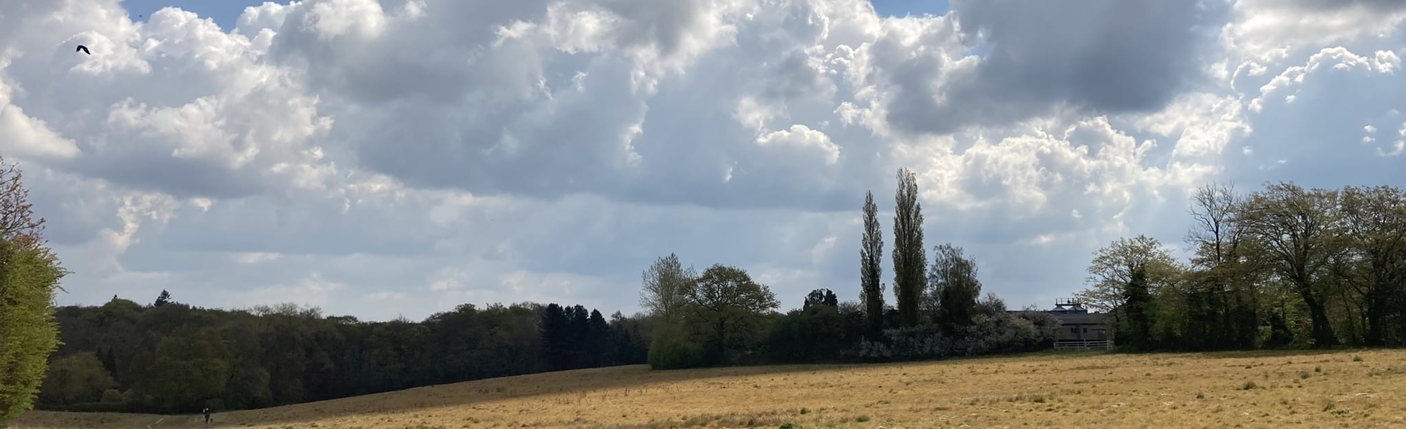 Great Missenden Circular, Buckinghamshire, England - 39 Reviews, Map ...