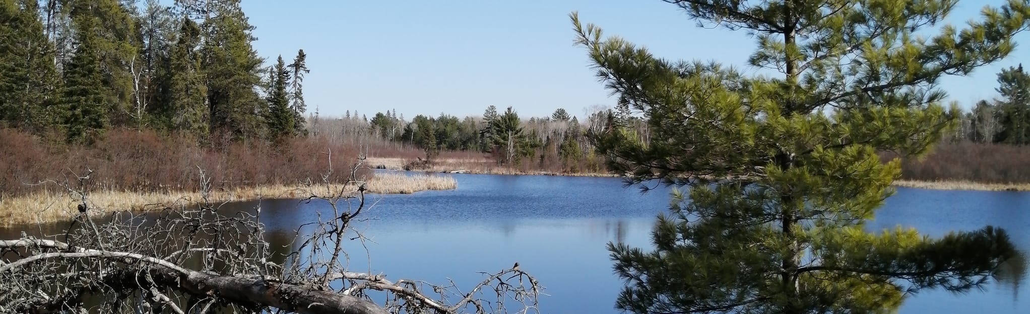 Martin Pond Trail, Ontario, Canada - 34 Reviews, Map | AllTrails