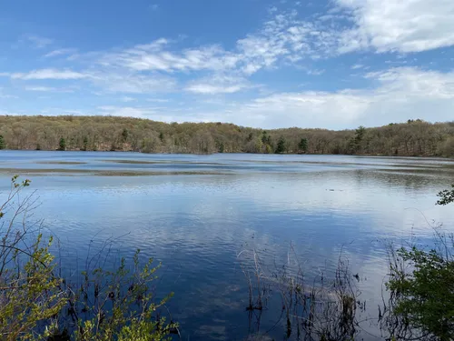 10 Best Backpacking Trails in Michigan | AllTrails