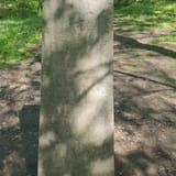 Arc Corner Monument Loop, Delaware - 189 Reviews, Map | AllTrails