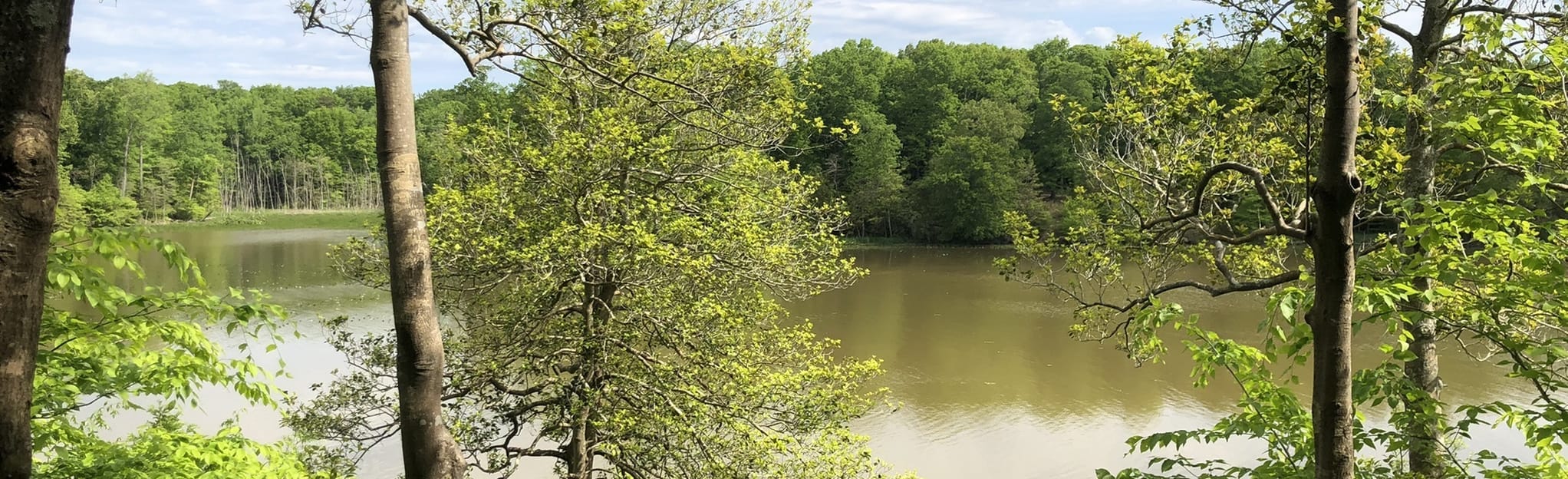 AllTrails | Mason Neck Kane Creek Paddle Route: 27 Reviews, Map - Virginia