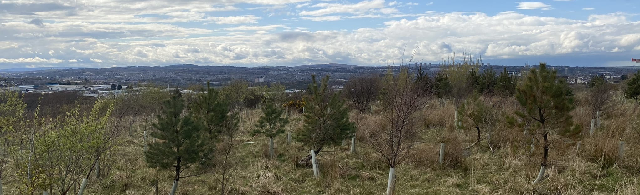 Tullos Hill Circular: 13 Reviews, Map - Aberdeen, Scotland | AllTrails