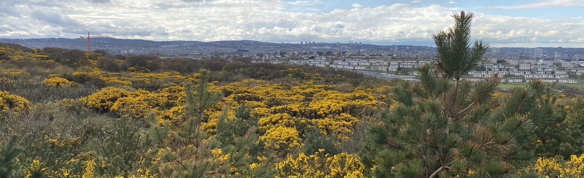 Doonies Hill, Aberdeen, Scotland - 7 Reviews, Map | AllTrails