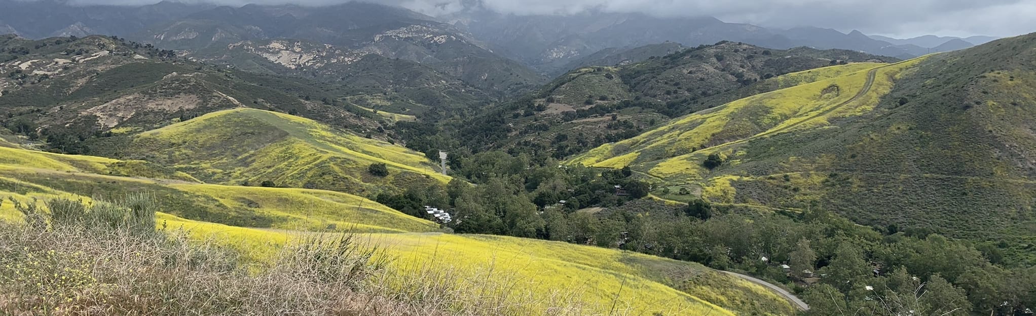 Bill Wallace El Capitan Trail, California - 394 Reviews, Map | AllTrails