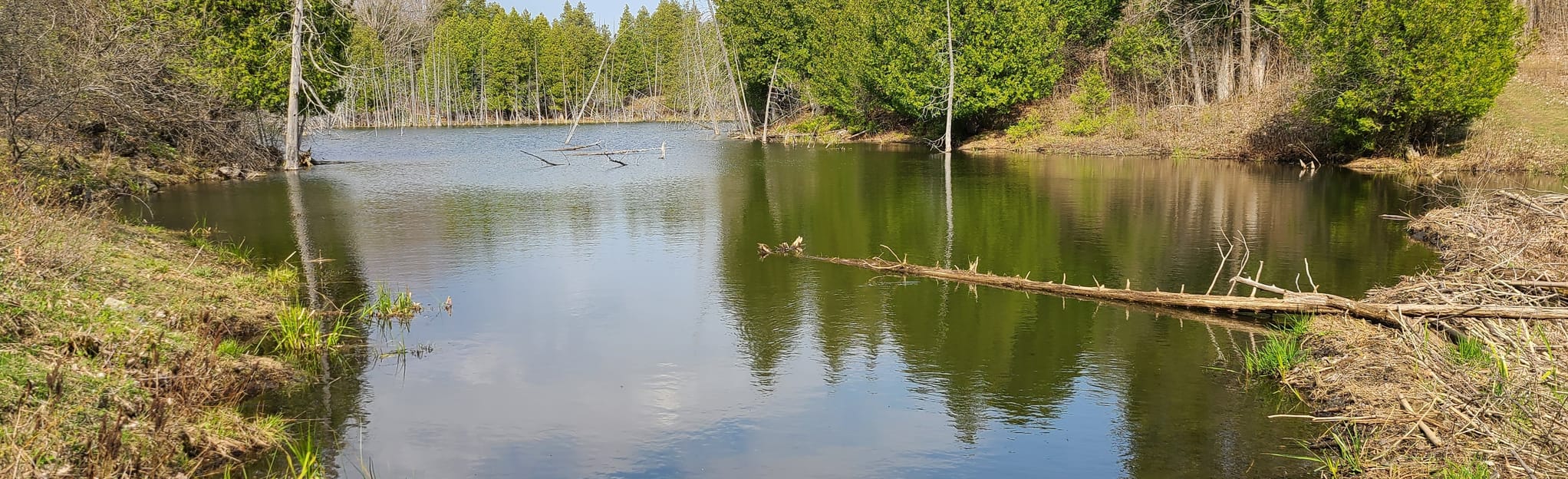 Mill Pond Conservation Area 253 Reviews Map Ontario Canada Alltrails