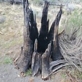 Metolius Balancing Rocks Overlook, Oregon - 56 Reviews, Map | AllTrails