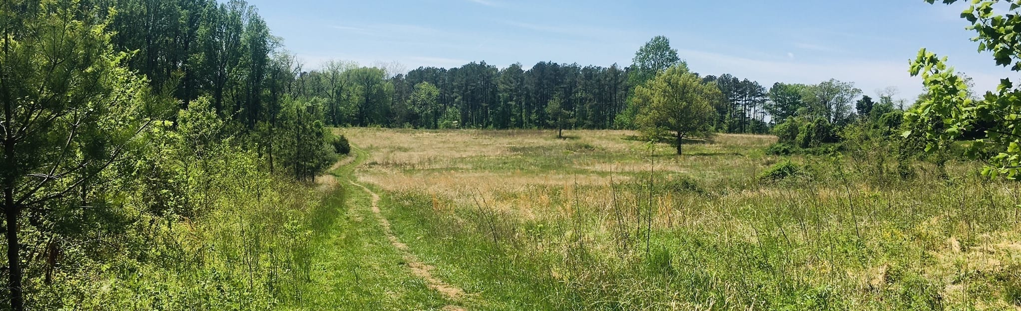 Whitney State Forest Loop: 429 Reviews, Map - Virginia | AllTrails