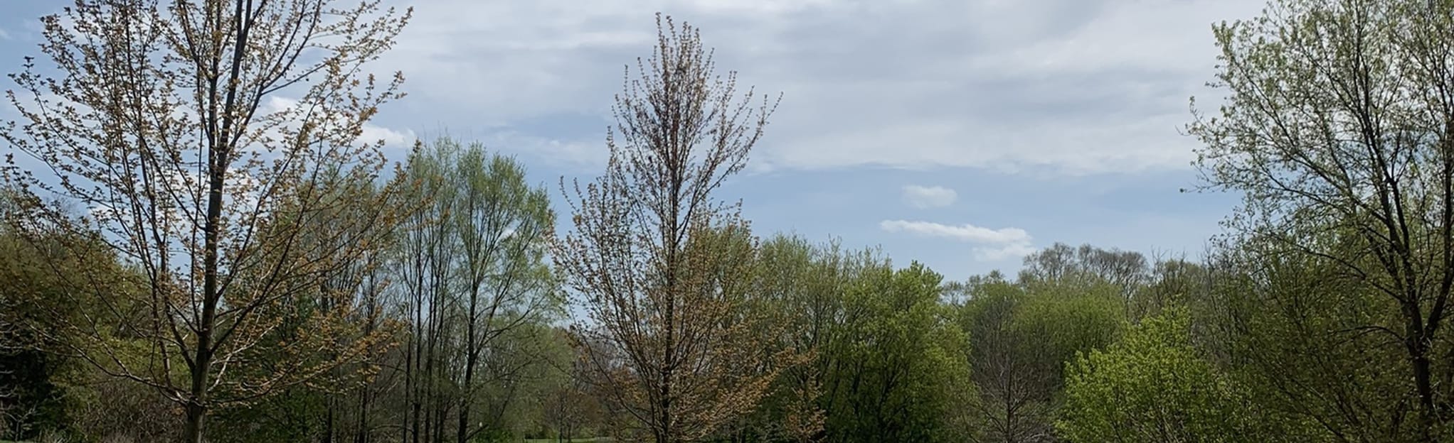 Glen Cairn Park Trail: 19 Reviews, Map - Ontario, Canada | AllTrails
