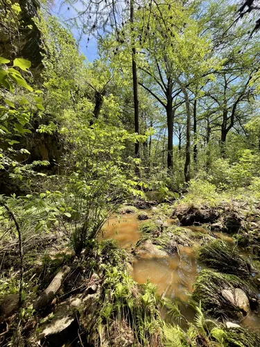 Best Walking Trails in Round Mountain | AllTrails