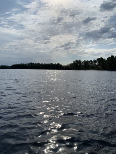 Best Hikes and Trails in Penn State Forest | AllTrails