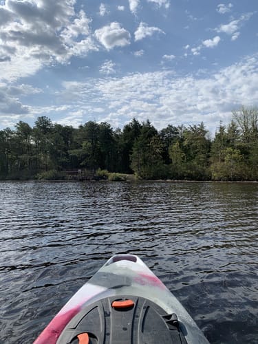 Best Hikes and Trails in Penn State Forest | AllTrails