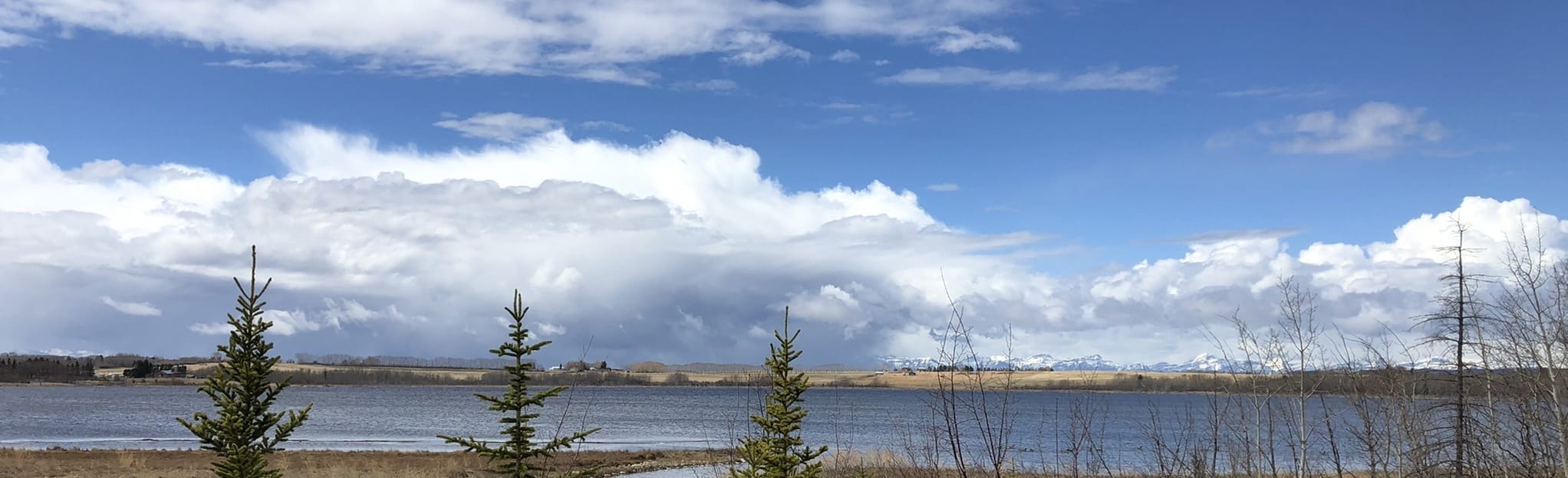 Cochrane Lake Loop : 24 Photos - Alberta, Canada | Randonnée | AllTrails