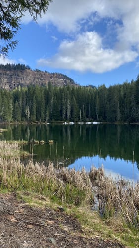 Best Hikes and Trails in Tiller | AllTrails