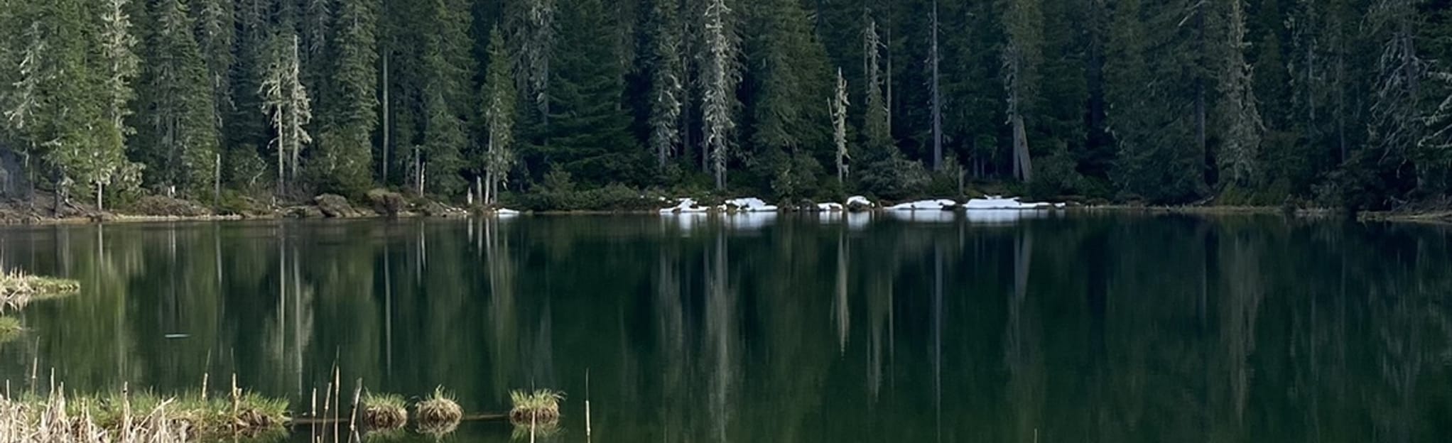 AllTrails | Buckeye Lake Trail: 16 Reviews, Map - Oregon
