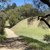 Hickory Oak Ridge Trail Loop, California - 232 Reviews, Map | AllTrails
