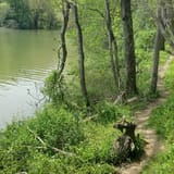 Prettyboy Trail, Maryland - 114 Reviews, Map | AllTrails