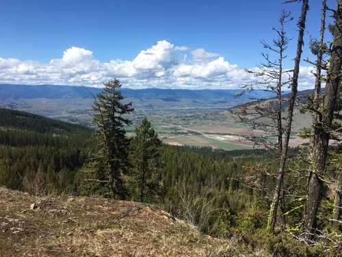 10 Best Trails and Hikes in Vernon | AllTrails