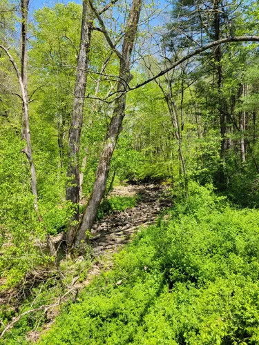 10 Best Trails and Hikes in Delaware | AllTrails