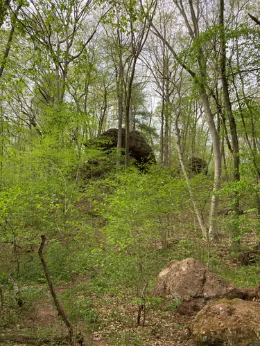 10 Best Hikes and Trails in State Game Lands Number 156 | AllTrails