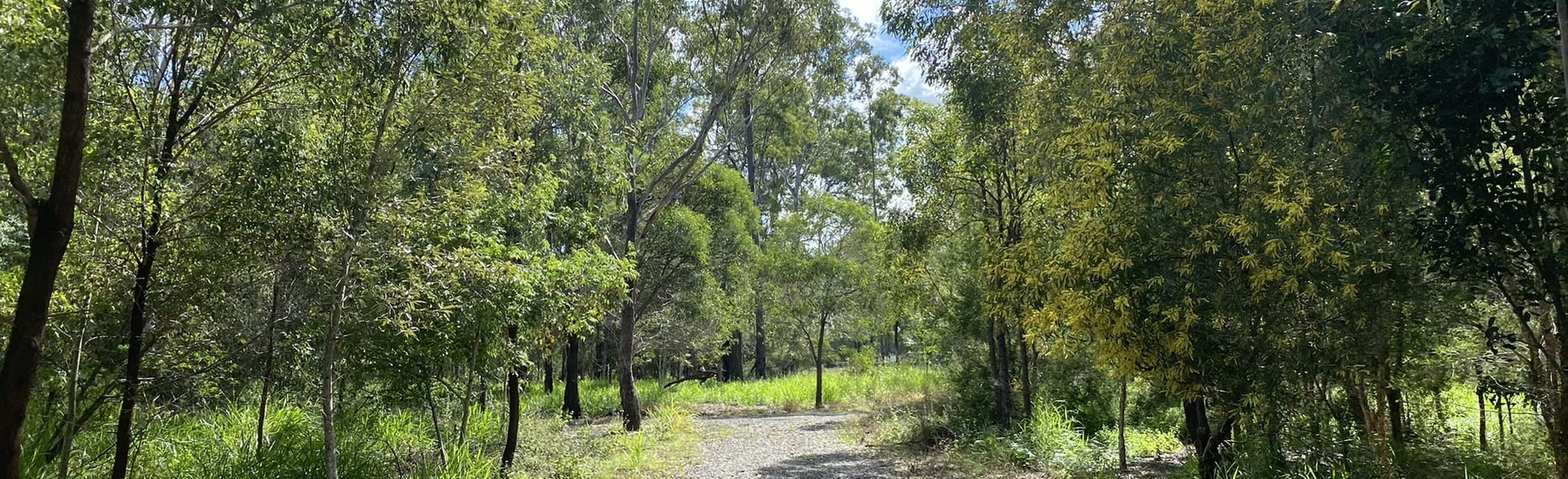 Wacol Bushlands, Queensland, Australia - 39 Reviews, Map | AllTrails