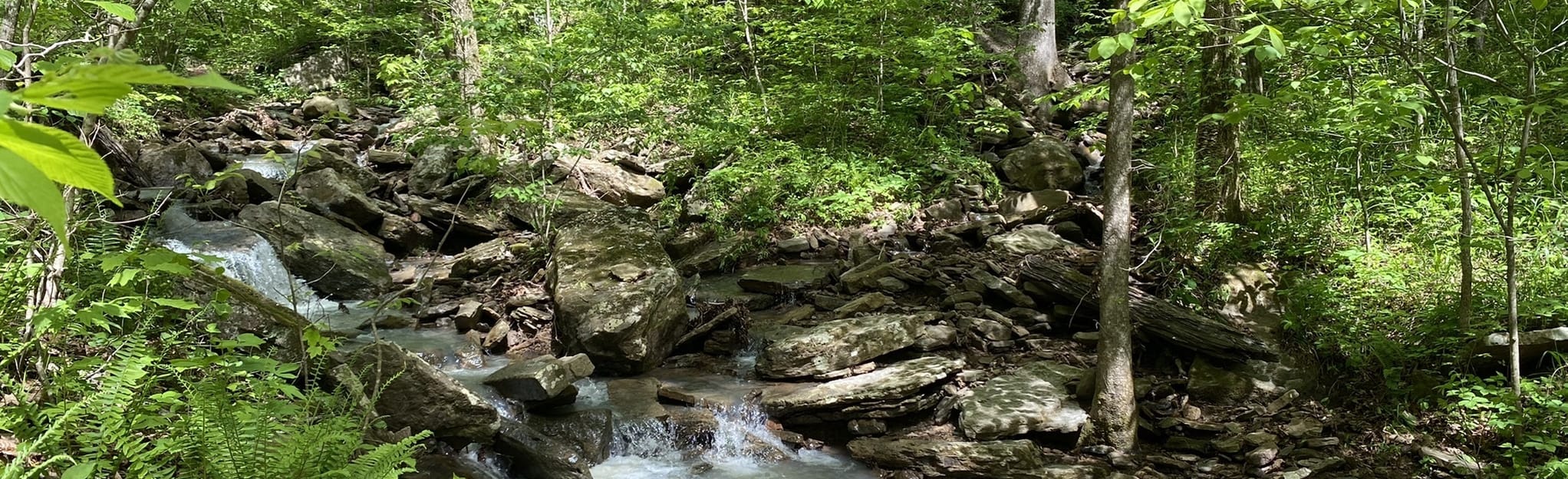 Murray and Senyard Falls: 83 Reviews, Map - Arkansas | AllTrails