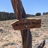 Olancha Pass and Summit Meadow, California - 56 Reviews, Map | AllTrails