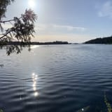 Cranberry Lake Trail, Washington - 165 Reviews, Map | AllTrails