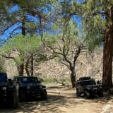 Lockwood/Miller OHV Trail, California - 130 Reviews, Map | AllTrails