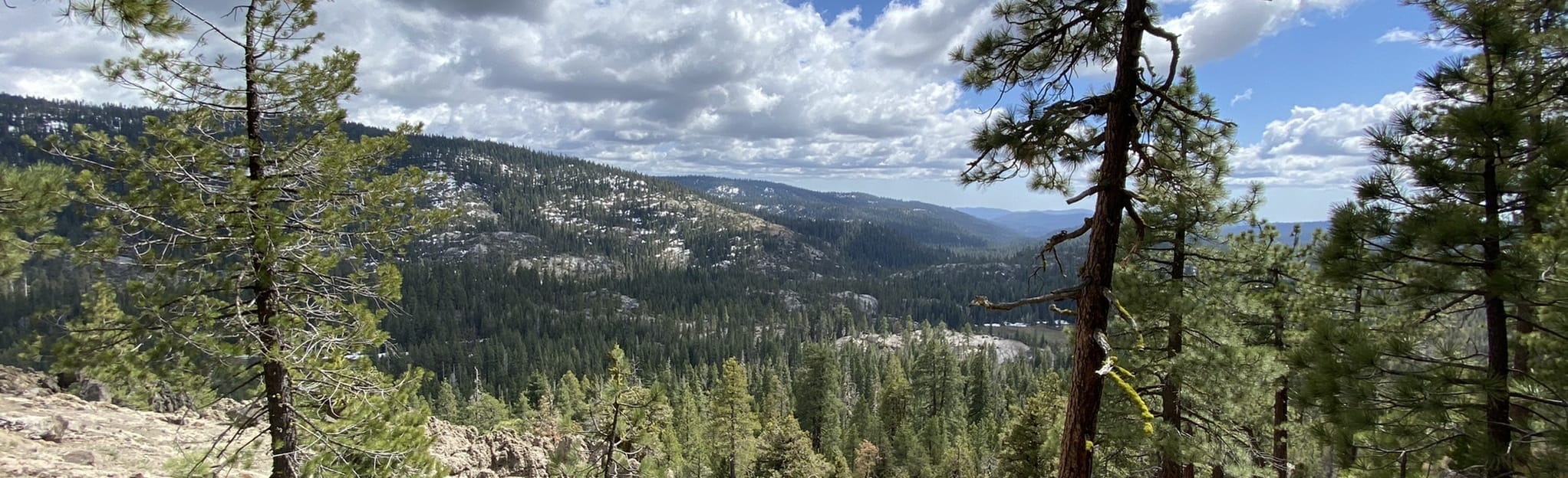 Grouse Lake and Mud Lake: 5 Reviews, Map - California | AllTrails